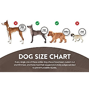 WhiteTail Naturals | Large, Whole Elk Antlers for Dogs | Dog Chews | Naturally Shed Antler Bone Chew Toy