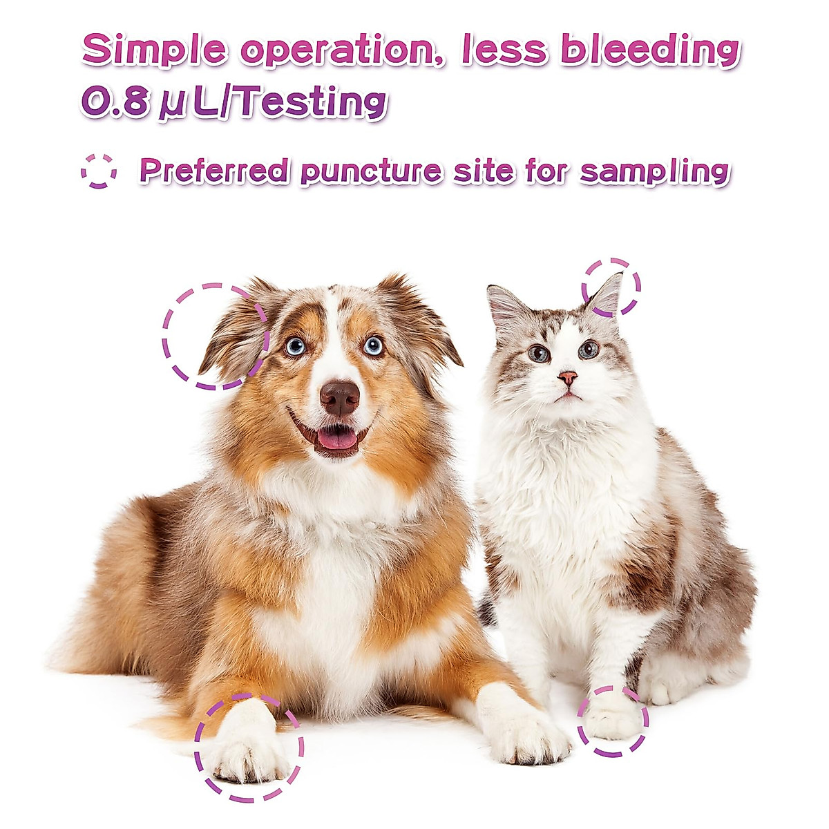 AssuTest® Blood Glucose Pet Health Monitoring Test Strips – Home Veterinary Care for Accurate Measurements – Manage Your Pet's Diabetes in an Affordable and Convenient Way - 25 Pcs/Box with 25 Lancets