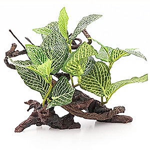 HRRIVE Reptile Rain Forest Ground Plants Decorations for Lizard Snake Bearded Dragon Crested Gecko Amphibian and Terrarium Habitat Decor