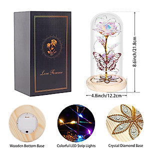 Beferr Gifts for Women Birthday Gifts Galaxy Rose Eternal Rainbow Flower Gifts Light Up Rose in Glass Dome Mothers Day Mom Rose Gifts for Grandma Daughter Wife Sister Friends