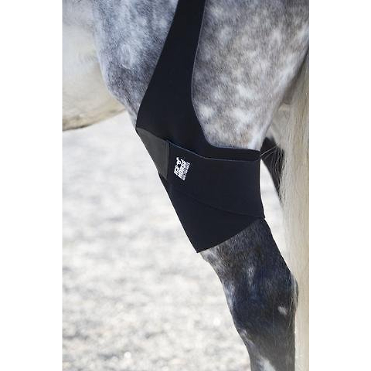 Ice Horse Pair of Stifle Wraps for Equine Therapy - Comes with 4 Ice Packs