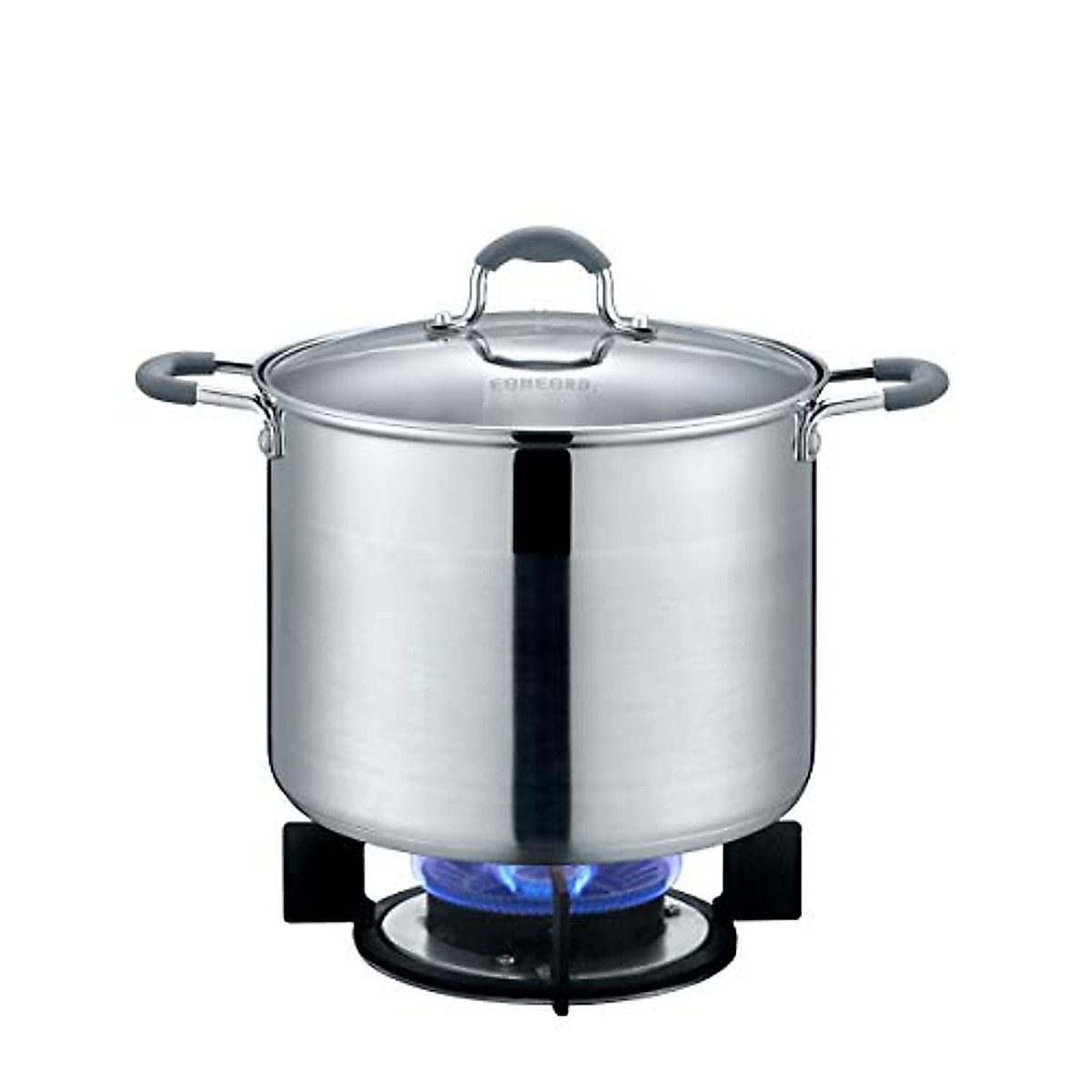 CONCORD Stainless Steel Stock Pot with Glass Lid (Induction Compatible) ((10 QT)