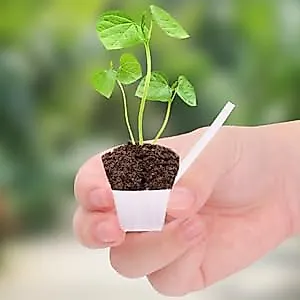 DUALCROWN-5 Pack Plant Seedling Trays kit,1020 Plant Germination Trays with 360pcs Seedling Puller Reusable. Gardening Seed Germination+Seed Starter Planting for Indoor Plant Germination.