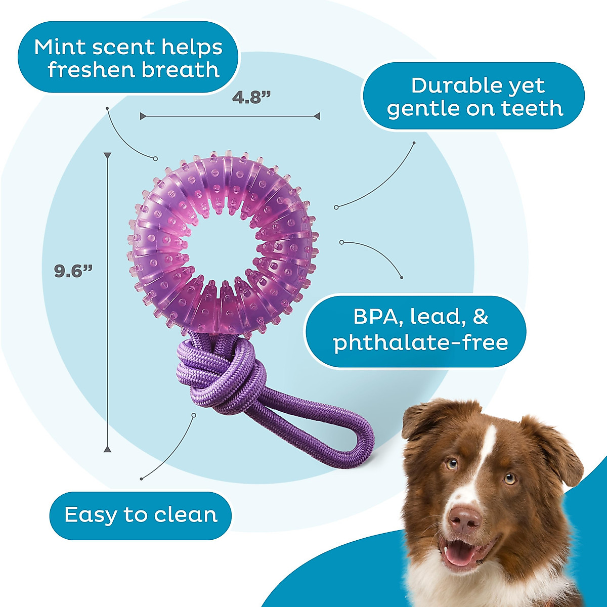 Outward Hound 2-in-1 Dental Chew Wheel Dog Chew Toy and Tug Toy, Purple