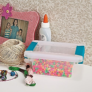 STERILITE Mini Clip Box Clear Base & Lid Aquarium Blue Latches