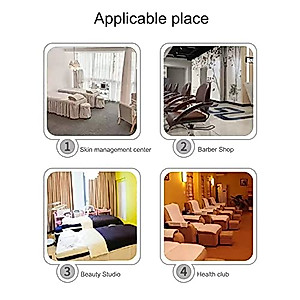 Salon & Spa Equipment Trolley Carts with Wheels Mobile Portable Beauty Salon Microblading Supplies Rolling Trays Hairdresser Stylist Esthetician Instrument Storage Tray