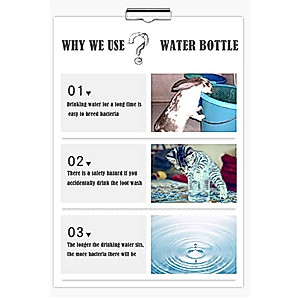 PStarDMoon Small Animals Water Bottle, Bunny Water Bottle, Hamster Water Bottle, Guinea Pig Water Bottle, Suitable for Rabbits Chinchilla Hamsters Guinea Pigs Gerbils Groundhog Squirrels (2.7 oz)