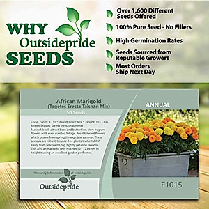 Outsidepride Tagetes Erecta Taishan African Marigold Garden Flower Seed Mix - 100 Seeds