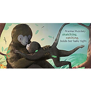 Little Monkey (Little Animal Friends)