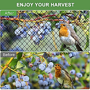 Bird Netting, Garden Netting with 3/4” Mesh Net as Poultry Netting for Chicken Coop, Heavy Duty Nylon Netting for Garden Protection, Fruit Tree Netting for Orchard, Vegetable Against Squirrels, Deer