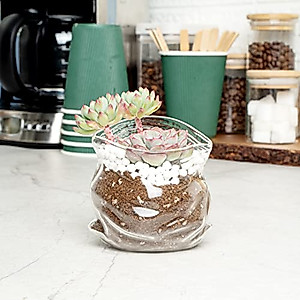 8 Ounce Glass Zipper Bag, 1 Small Glass Bag - Realistic Crinkled Edges, Serve Candy, Popcorn, or Nuts, Clear Glass Bag Bowl, Dishwashable, Flat Base - Restaurantware.