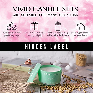 Hidden Label Scented Candles, Soy Candles for Home Gin and Tonic 2 Wicks 8.1oz Vivid Collection, Candle Set Gifts for Women Birthday Valentines Day Mothers Day Christmas