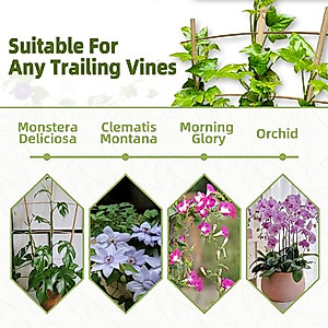 5 Pack 16" Bamboo Trellis for Climbing Plants-Natural Garden Ladder Trellis, Fan -Shaped Support Trellis for Potted Plant Decor in Door