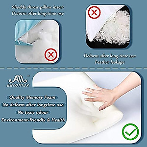 AM AEROMAX 12 × 20 Pillow Insert Memory Foam Lumbar Support Throw Pillow Sham Rectangular for Decorative Cushion Bed Couch Sofa Without Deform After Longtime Use