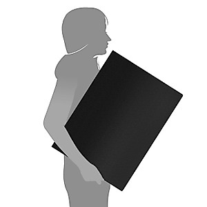 Presentation Book 40 Clear Pockets Sleeves Protectors Art Portfolio Clear Book for Artwork, Report Sheet, Letter (Can Accommodate 19.1 X 13.3inch)