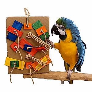 Cardboard Shreddy Toy for Parrots (Choose a Size) (Large)
