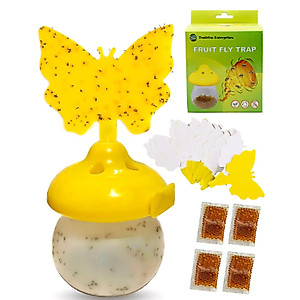Tradeinc Enterprises Indoor Fruit Fly Trap - Fungus Gnat Pest Control Sticky Traps for House Kitchen Flies Insect Bug Catcher