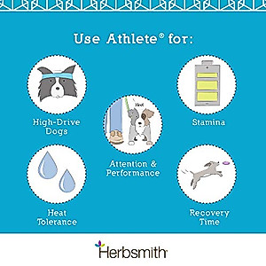Herbsmith Athlete – Canine Endurance Supplement for Working and Agility Dogs – For the Canine Athlete – 75g Powder