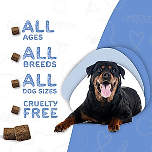 waggedy Great Start Puppy Bundle Multivitamin & Calm Aid – Large or Small Breed Puppy Supplement: Stress, Anxiety, Joint, & Immune System Support (One to Two Month Supply) 120 Puppy Treats