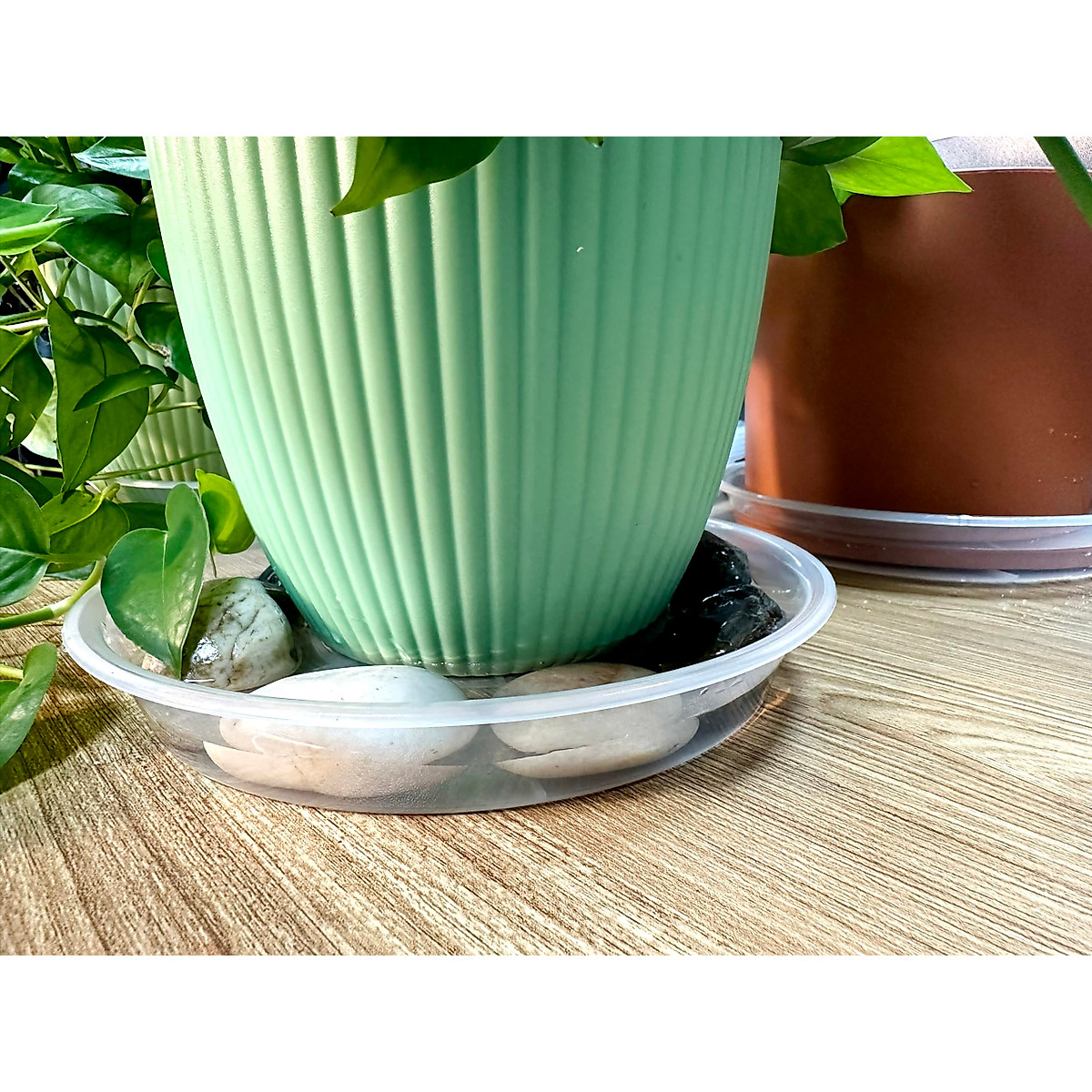 NIMYAU Clear Plant Saucer 6 Pack 4 6 7 8 10 12 14 16 inch, Heavy Duty Plastic Plant Tray Saucers for Indoors Outdoors, Plant Drainage Tray, Flower Planter Water Drip Trays for Pot (6", Clear)