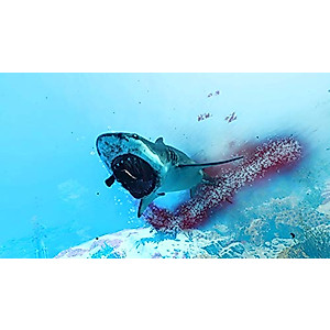 Maneater - Xbox Series X