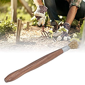 Bonsai Tool, Ergonomic Design Wearable Bonsai Steel Brush Professional Wood Handle Safe for Lawn for Garden