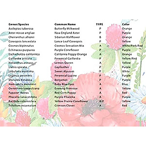 Bee and Butterfly Wildflower Seeds - Bulk Flower Seed Mix with Over 30,000 Premium Seeds- Stunning Blooms - Attracts Pollinators, Bees, Butterflies - Perennial, Annual