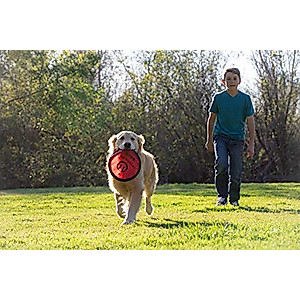 Hyper Pet Flippy Flopper Dog Frisbee Interactive Dog Toys [Flying Disc Dog Fetch Toy – Floats in Water & Safe on Teeth] (Colors Will Vary), Multicolor, 9"