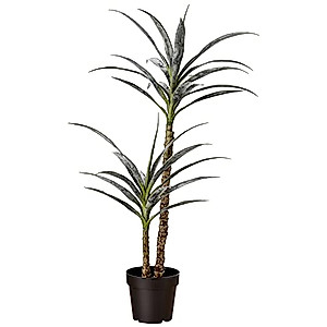 Amazon Basics Artificial Yucca Plant with Plastic Nursery Pot, 40-Inch