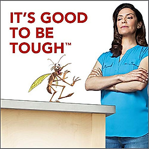 Raid Flying Insect Killer (15 Ounce (Pack of 2))