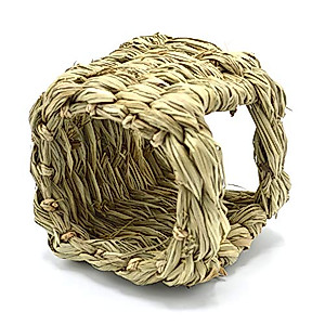 Oxbow Animal Health Timothy Club Hay Square