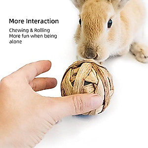 andwe Small Animals Play & Activity Balls Rolling Chew Toys for Rabbits Guinea Pigs Chinchilla