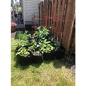 2 Pack Fabric Raised Garden Beds 2FT X 2FT 4 Holes Square Fabric Raised Planting Bed for Vegetables Outdoor and Indoor