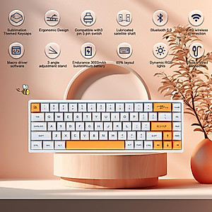 BOYI WK68 Wireless Mechanical Keyboard,65% Hot Swap BT5.0/2.4G/Wired Type-C Tri-Mode RGB Gaming Keyboard,PBT Sublimation XDA Keycaps Keyboard for Mac/Win(Honey Milk Color,Gateron Yellow Switch)