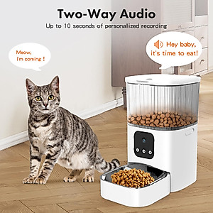 Abdtech Automatic Cat Food Feeder: Pet Food Dispenser - Cat Food Bowl - 3L Automatic Dogs Feeder - Auto Cat Feeder with Camera - Gravity Cats Feeder
