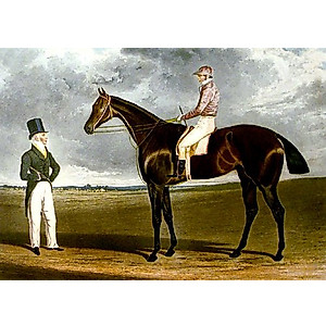Birmingham, the Winner of the Great St. Leger Stakes at Doncaster, 1830 68 Subscribers - 28 Started. By Filho da Puta, dam Miss Craigie by Orville.The Property of Mr. Beardsworth, To whom this Print by Permission is most respectfully dedicated by the Publ