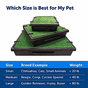 PetSafe Pet Loo Portable Dog Potty, Alternative to Puppy Pads, Large