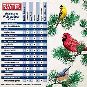 Kaytee Wild Bird Black Oil Sunflower Food, 5 Pounds