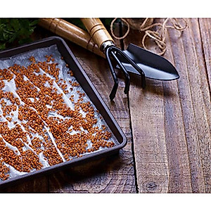 ANPHSIN Plant Growing Trays- 10 Pack 10.6” × 10.6” No Drain Holes Microgreens Growing Trays, Thickened Garden Plant Seed Starter, Indoor Greenhouse Seedling Propagation Trays for Wheatgrass