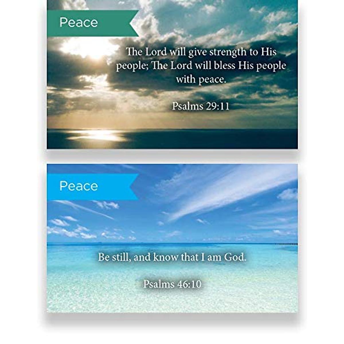 Logos Trading Post Pass Along Scripture Card Variety Pack | All 60 Designs | 1 of each Design | Pack of 60 - Assortment 13