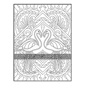 100 Amazing Patterns: An Adult Coloring Book with Fun, Easy, and Relaxing Coloring Pages