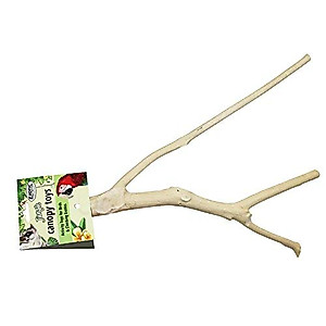 Multi-Branch Perch (Large) - Durable Natural Climbing Branch Perch Cage Accessory - Sugar Gliders, Squirrels, Prairie Dogs, Degus, Marmosets, Monkeys, Parrots, Birds, Rats, Reptiles, Amphibians