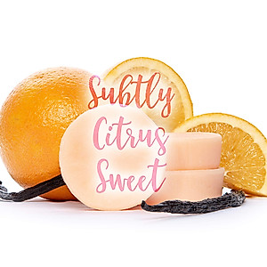 Sweet & Sassy Shampoo + Conditioner Bars: Includes 1 Shampoo, 1 Conditioner. Made in the USA. Natural, Organic, SLS Free, Safe for Color Treated Hair. Sunkissed