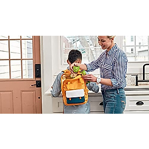 Friendly Grains - Crunchy Rollers - Organic Rice Healthy Snack Crispy Puffed Rice Rolls for Adults and Kids - Original Brown Rice (16 packs of 2)