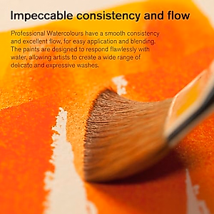 Winsor & Newton Professional Watercolor, 14ml (0.47-oz) Tube, Payne's Gray