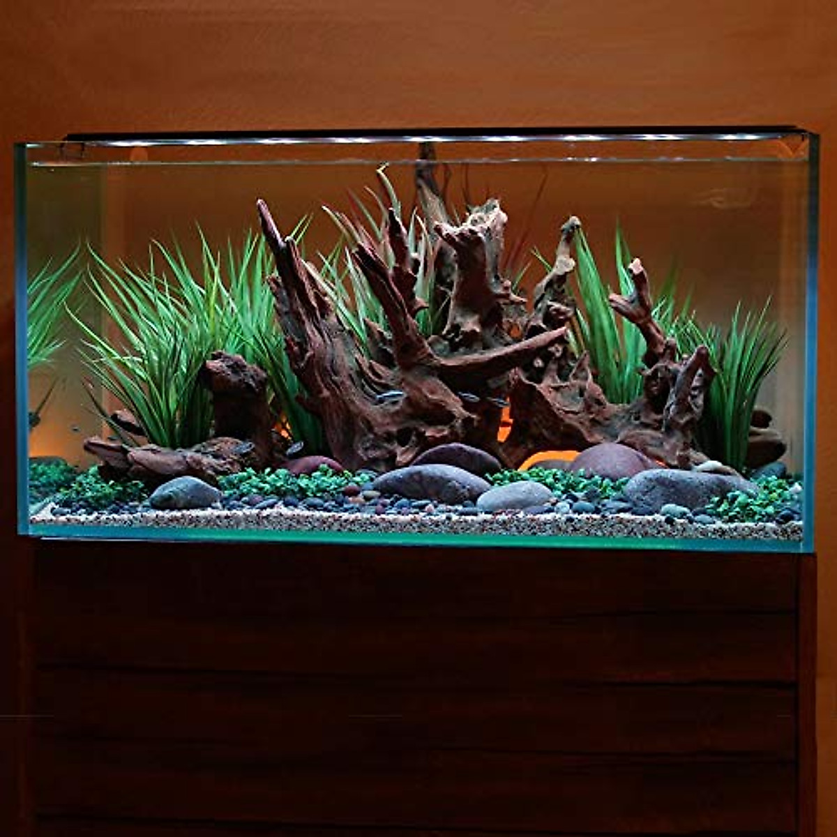 CURRENT USA Satellite Freshwater LED Plus Full Spectrum RGB+W Light for Aquariums 72'' with Wireless 24 Hour Remote Control