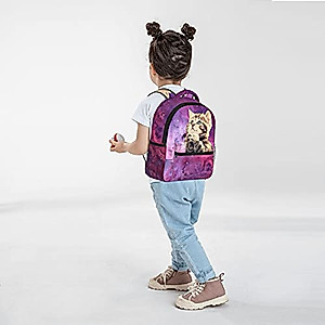 Dujiea 12" Kids Backpack Cute 3d Cat Galaxy Kitty Toddler Backpack For Boys Girls, Preschool Kindergarten Schoolbag Nursery Travel Bag With Chest Strap