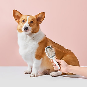 Petgravity Pet Cotton Tissue for Pet Cleaning Brush Cats Dogs Wipes for Pet Paw Eye Stains Ear Coat Extra Strong Soft Portable