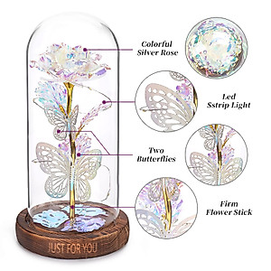 WOKEISE Mothers Day Rose Gifts for Mom,Wife,Grandma,Light Up Preserved Rose Flower Butterfly in Glass Dome,Personalized Birthday Gifts for Women,Girlfriend,Teenage Girls,Sister-Silver