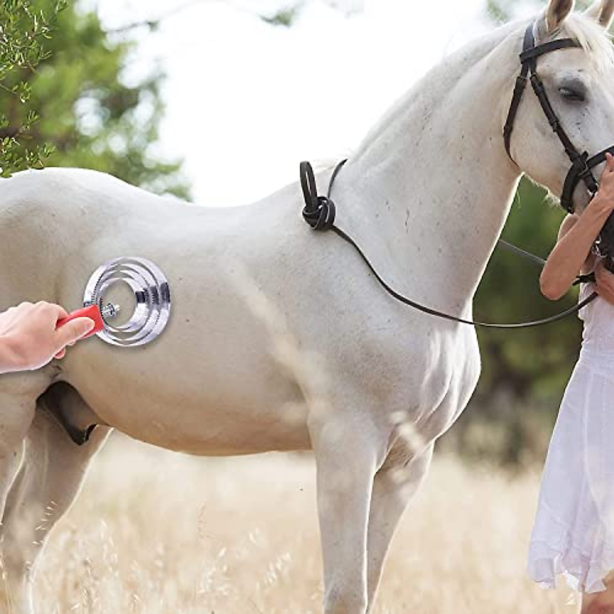 ZHYYLFF 2pack Double-Sided Stainless Steel Curry Comb for Horse—Curry comb—Horse Brushes for Grooming—Horse Curry Comb for Cleaning the Hair and Dirt of Horses, Cattle and Dogs.